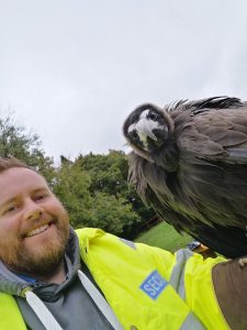 Corporate & Bespoke Falconry Experiences – Surrey Hills Falconry