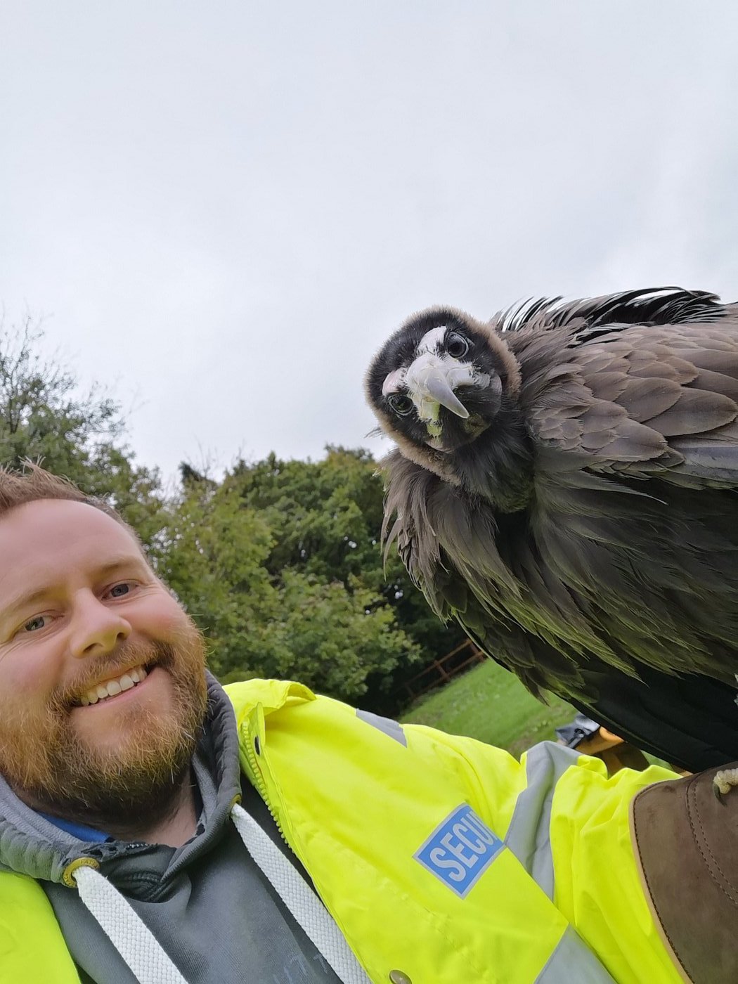Corporate & Bespoke Falconry Experiences – Surrey Hills Falconry